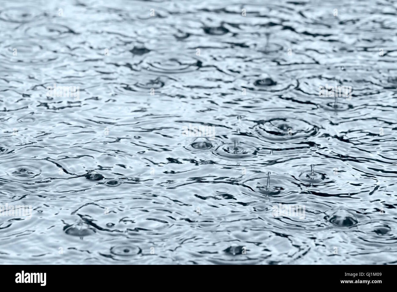Heavy raindrops falling into a puddle Stock Photo - Alamy