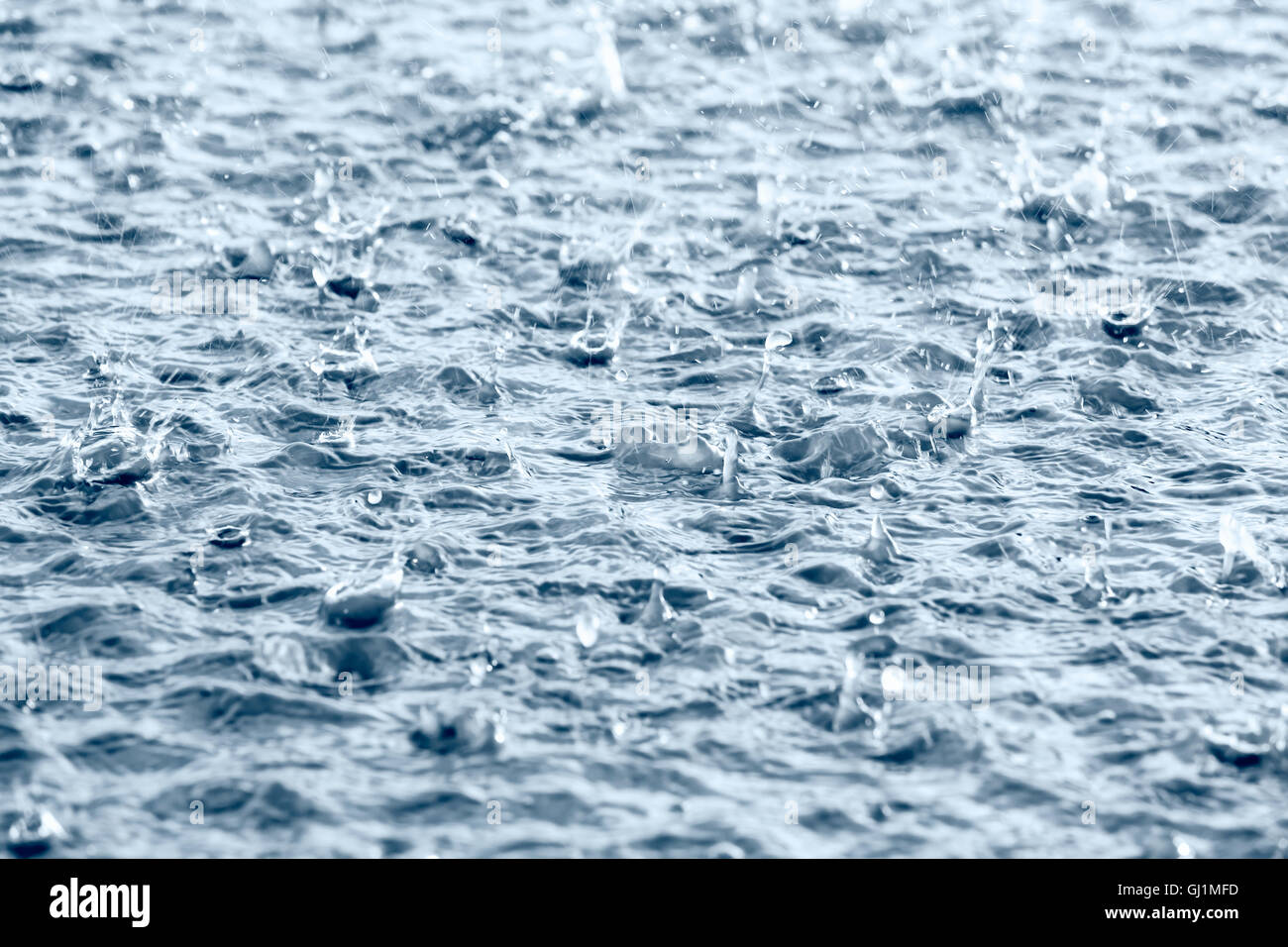 closeup of drops and splashing of pouring rain Stock Photo - Alamy
