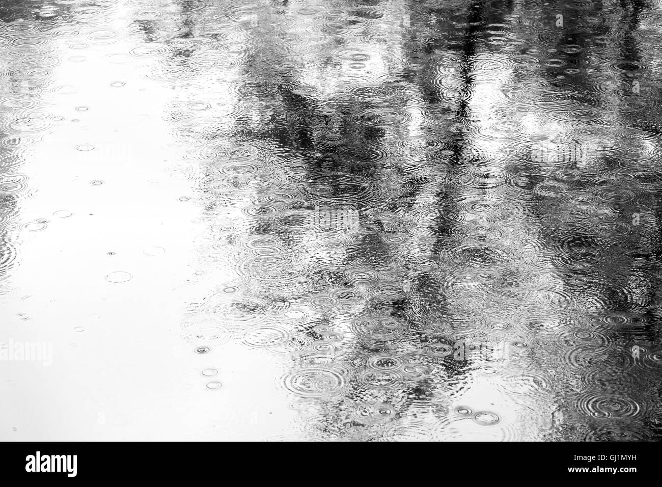 wet sidewalk with rippling raindrops and trees reflection Stock Photo ...