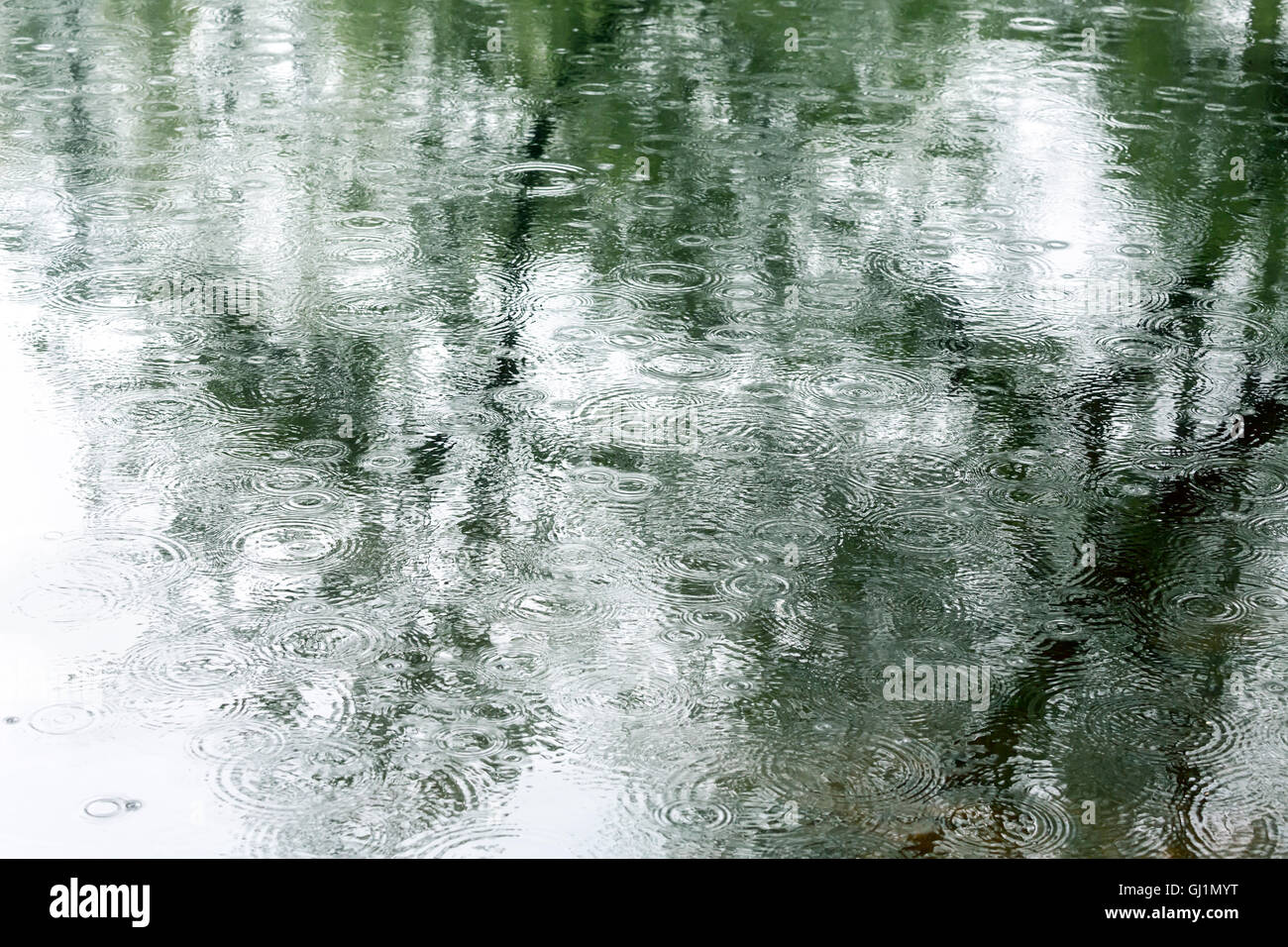 pool of water with drops of rain and trees reflection Stock Photo - Alamy