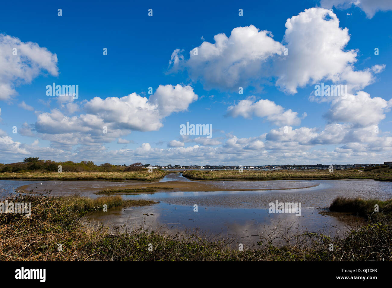 Christchurch Harbour Dorset Hengistbury Head UK nature reserve wetlands ...
