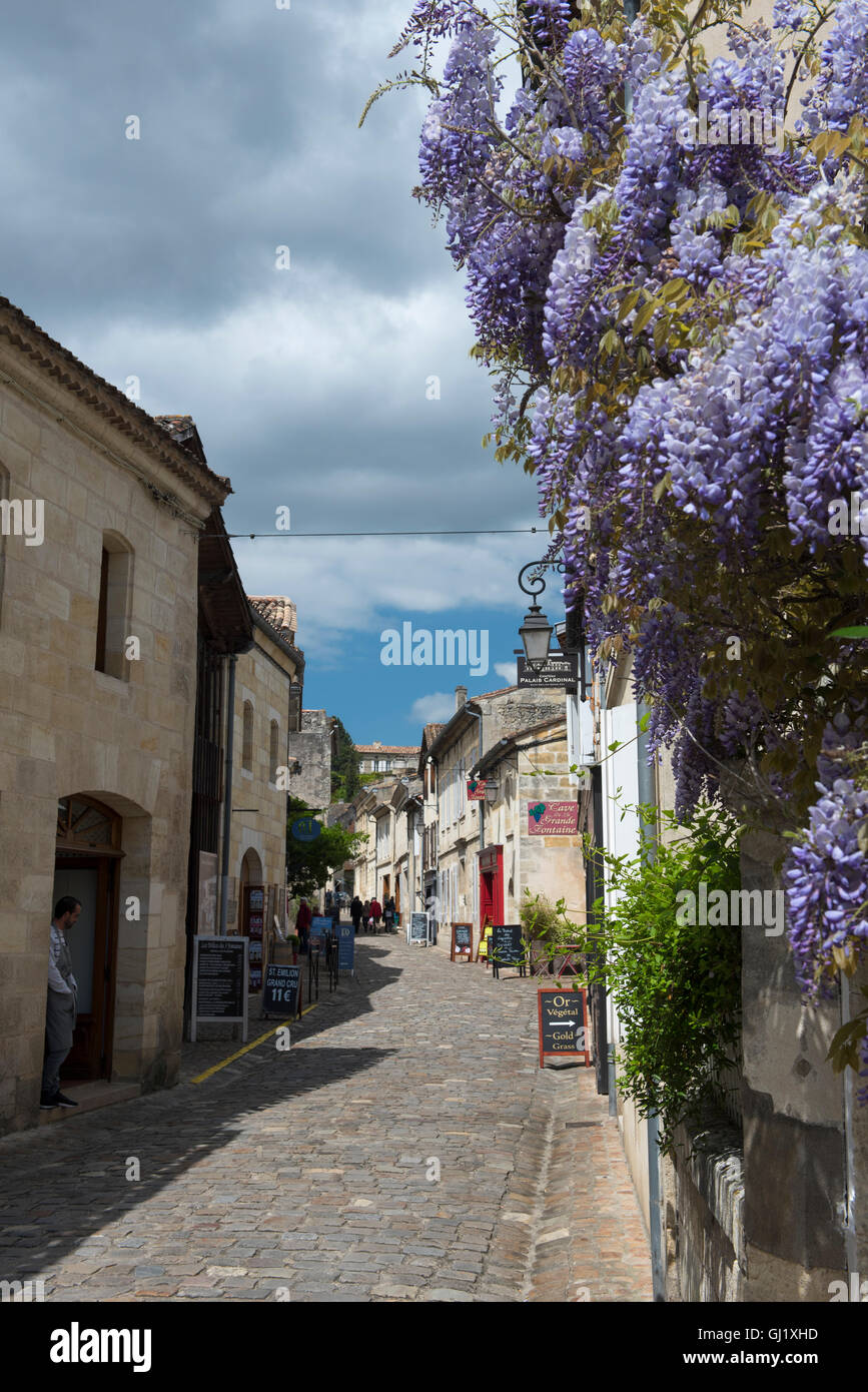 Wisteria and a cobbled street in Saint Émilion, Gironde, France Stock ...
