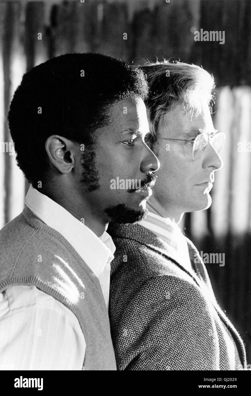 Steve biko 1977 hi-res stock photography and images - Alamy