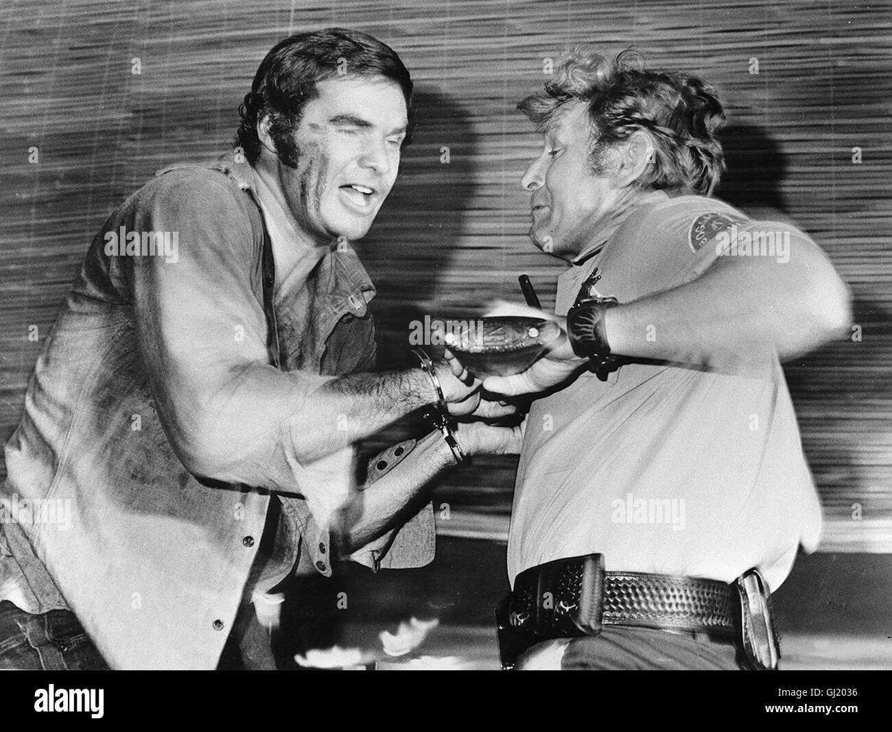 Der tiger hetzt die meute hi-res stock photography and images - Alamy