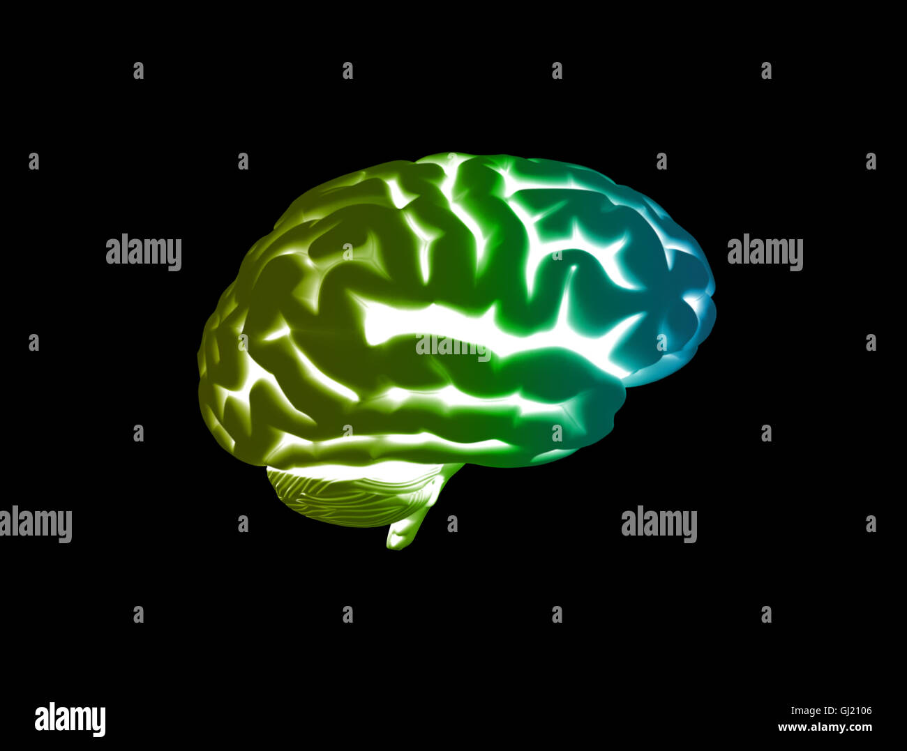 Human body anatomy different hi-res stock photography and images - Alamy