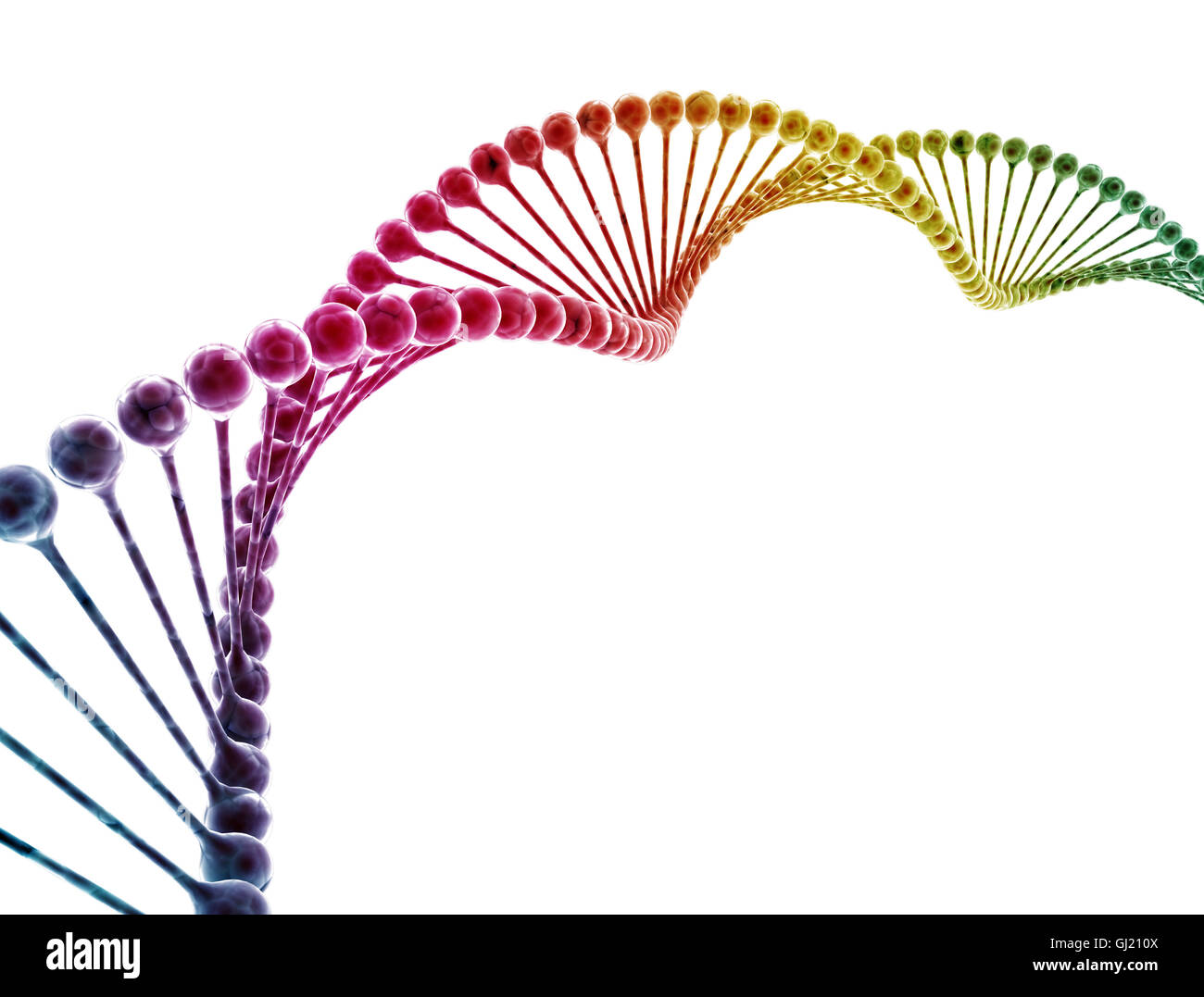 Multi color DNA model isolated on white background Stock Photo - Alamy