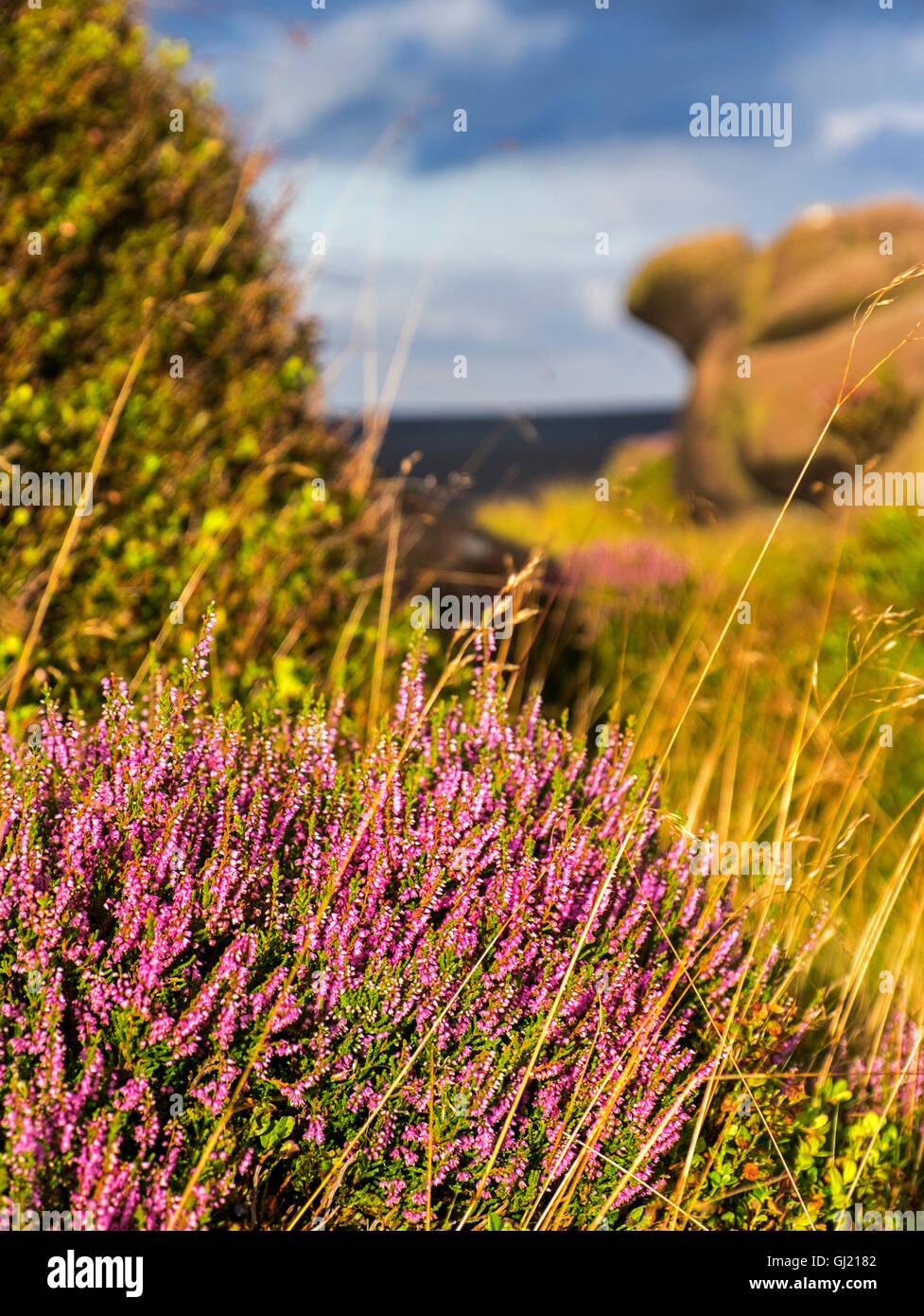 Peak district moors hi-res stock photography and images - Alamy