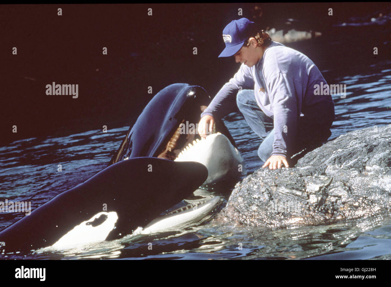 Free willy 2 hi-res stock photography and images - Alamy