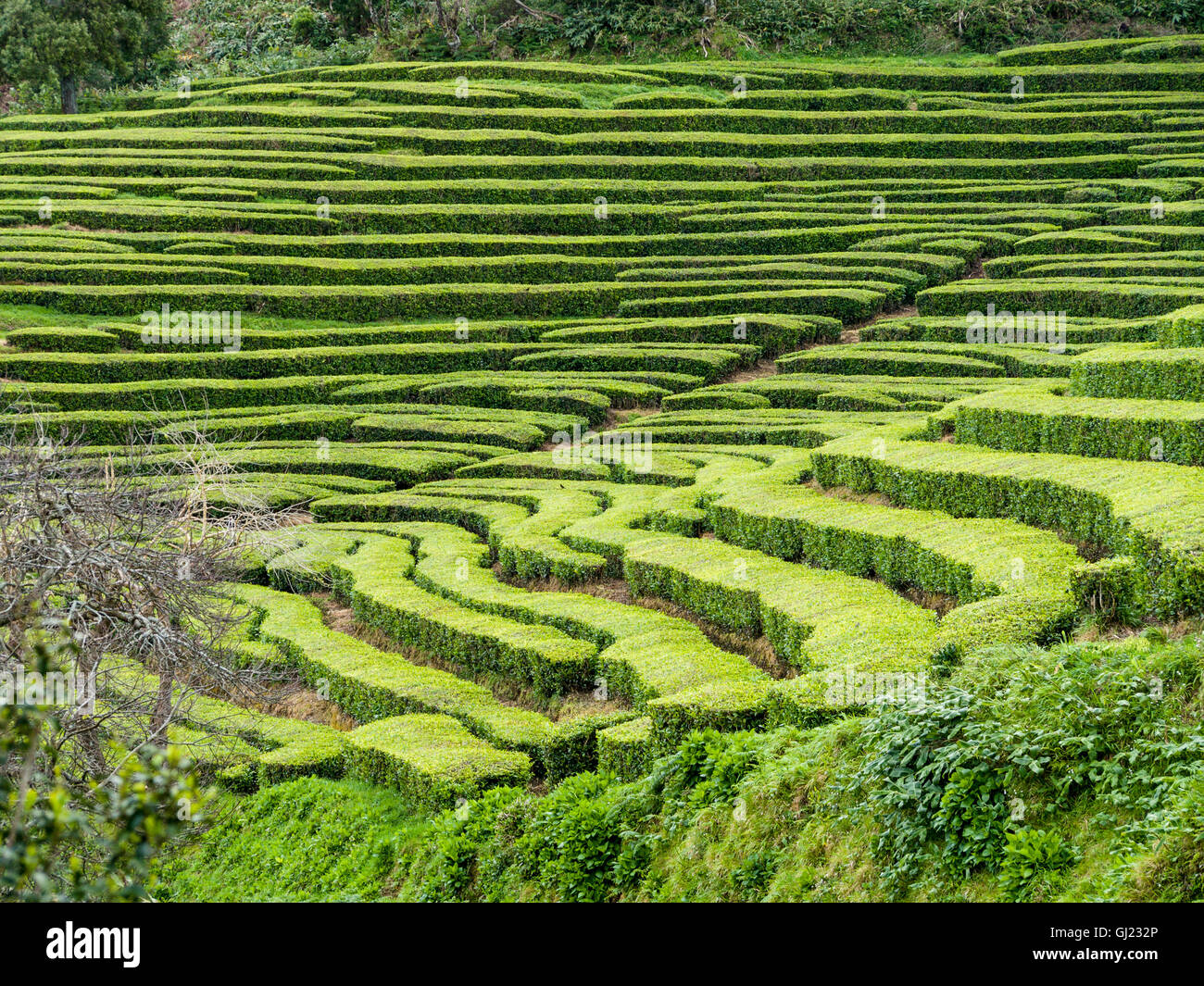 Natural contours hi-res stock photography and images - Alamy