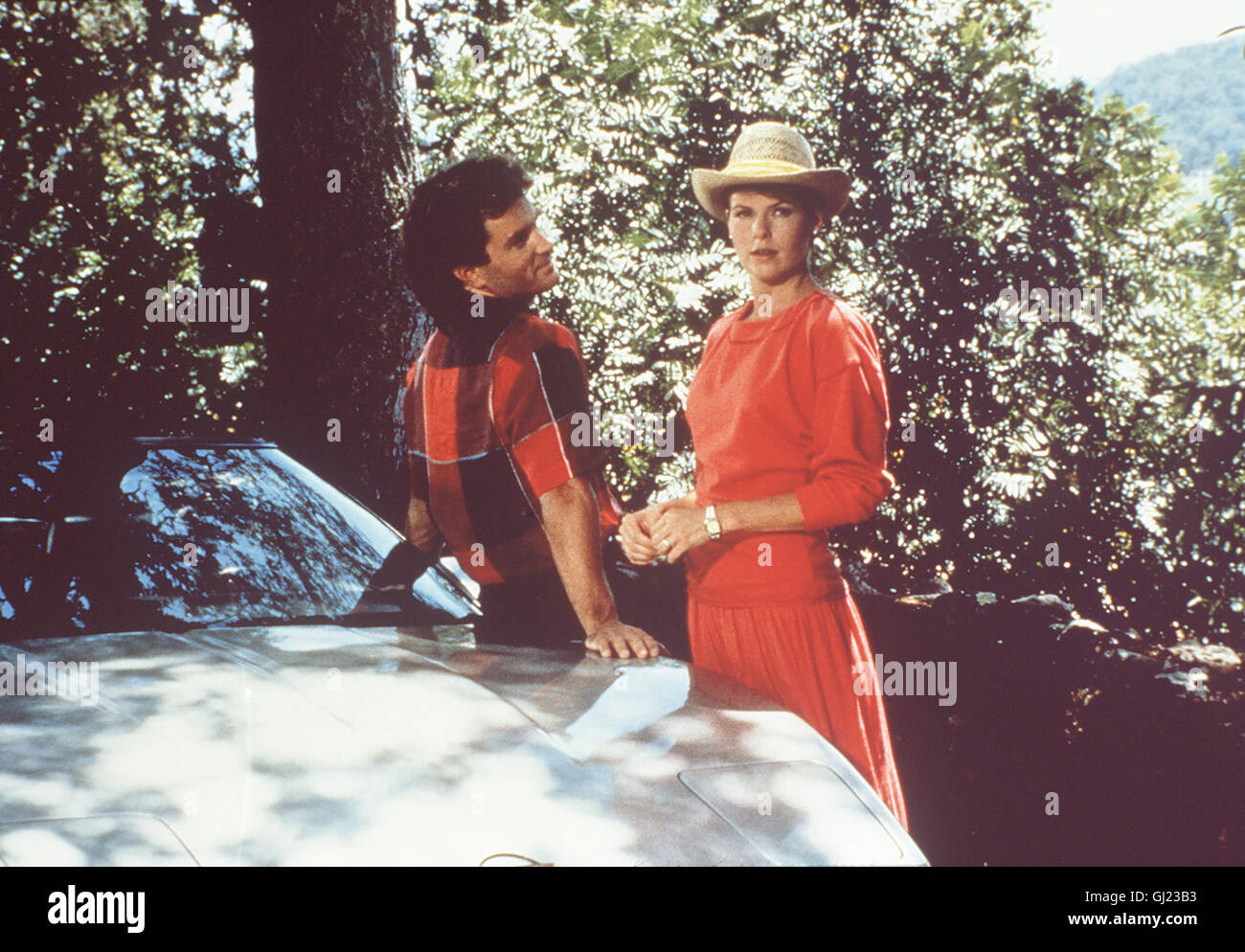 Falcon Crest (Wolkenbrüche) Szene: JOHN CALLAHAN u. DANA SPARKS Stock ...