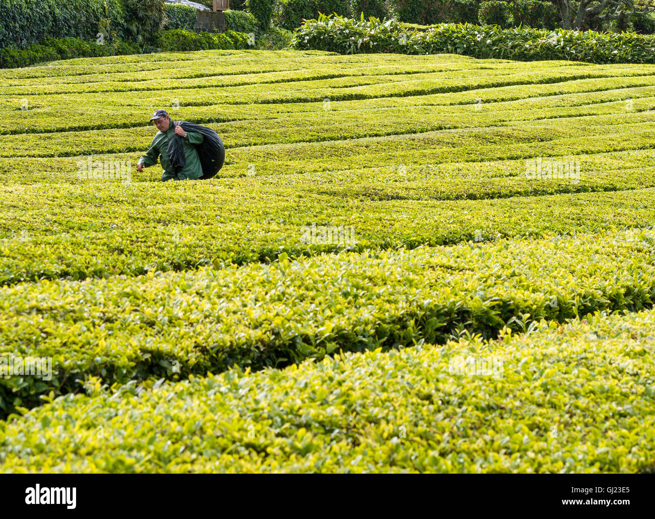 Lifting heavy bag hi-res stock photography and images - Alamy