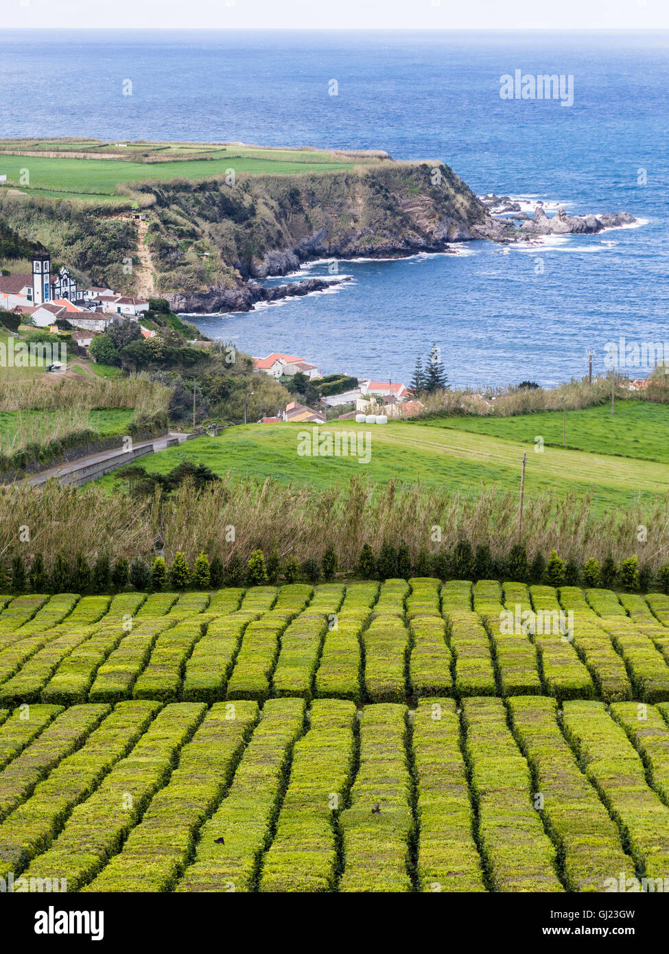 Waves of hedges hi-res stock photography and images - Alamy