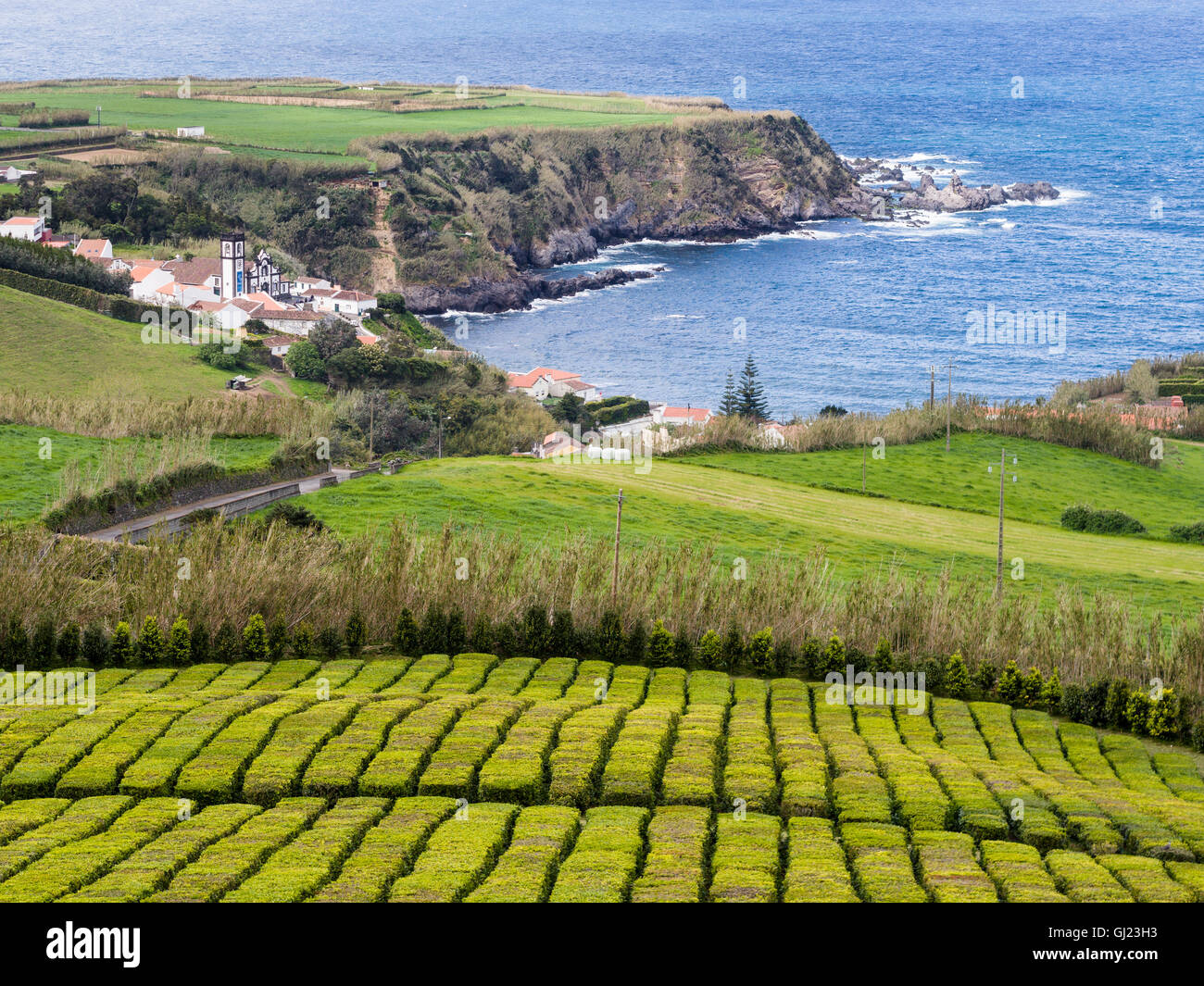 Waves of hedges hi-res stock photography and images - Alamy
