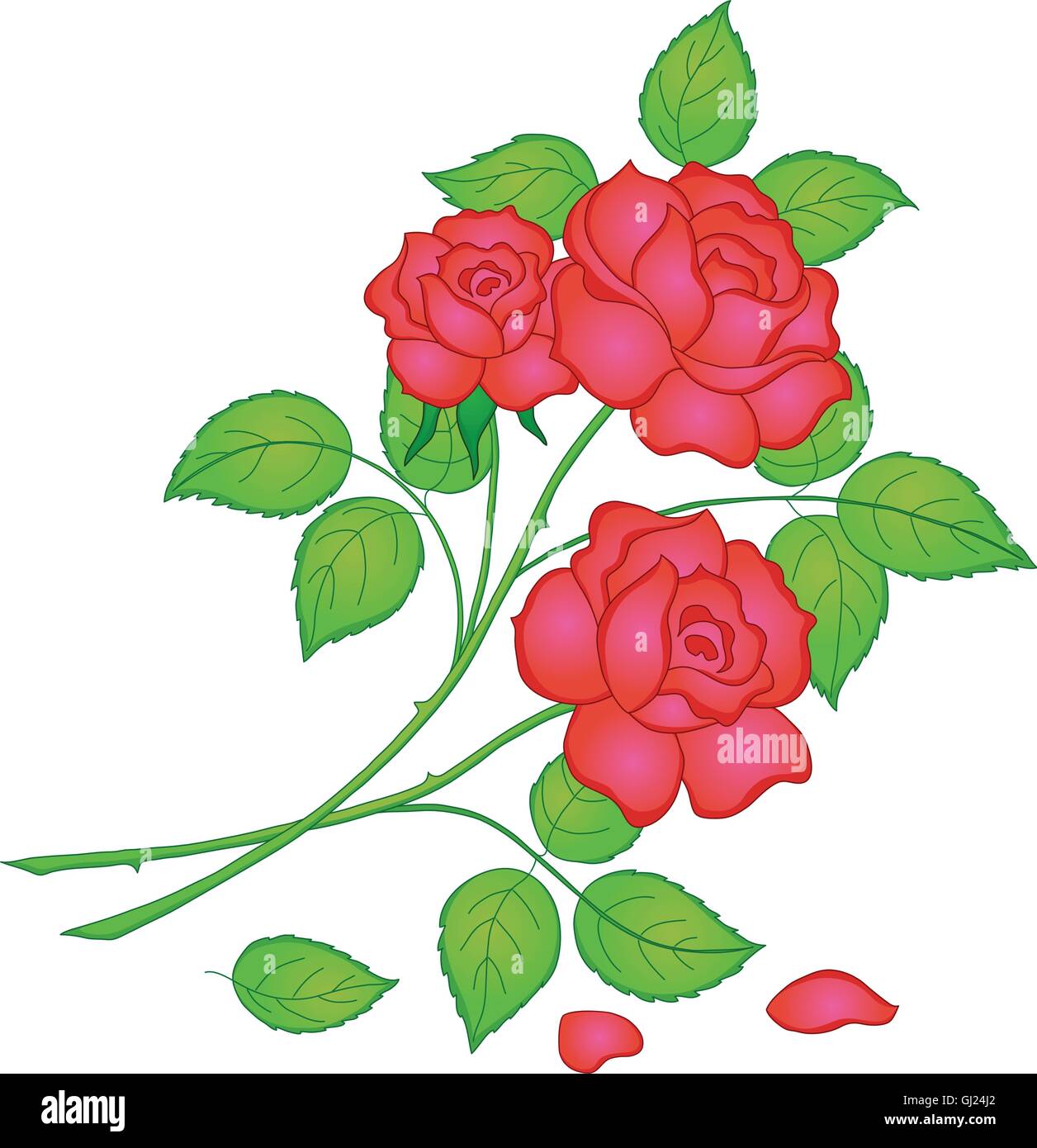Scarlet rose Stock Vector Images - Alamy