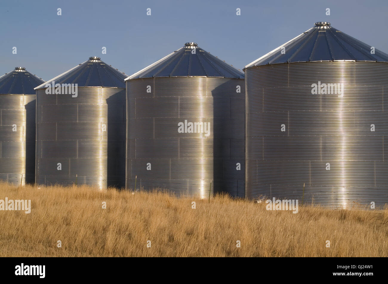Shiny silos all in a row Stock Photo - Alamy