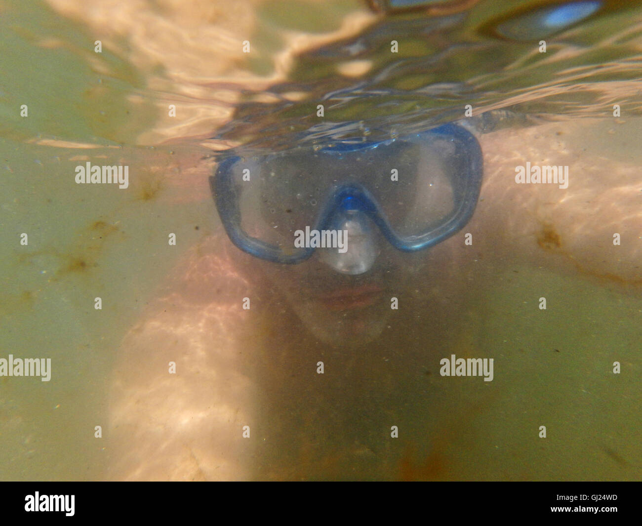 Murky diving High Resolution Stock Photography and Images - Alamy