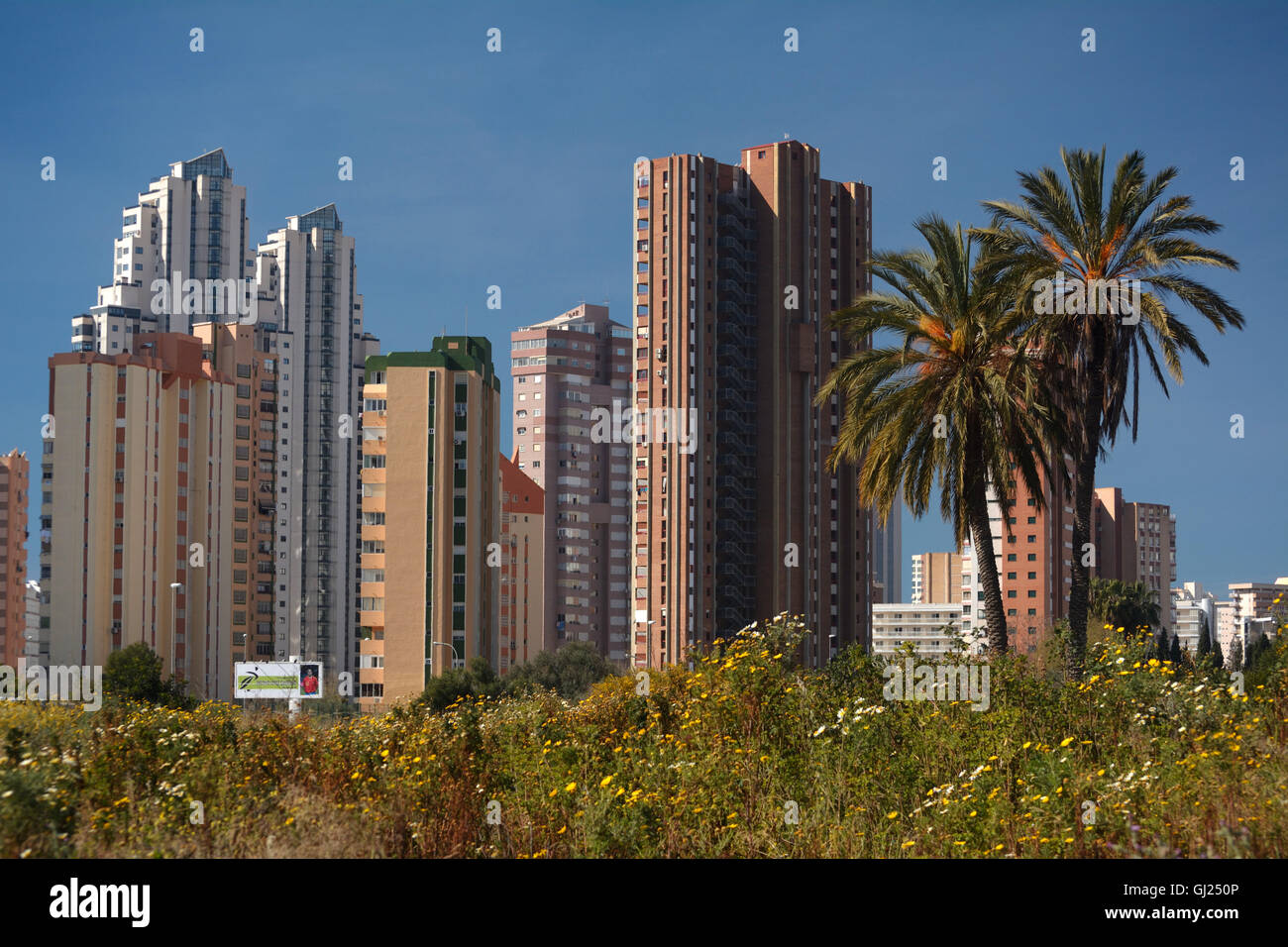 Spain, Benidorm, high-rise buildings and palm trees Stock Photo - Alamy