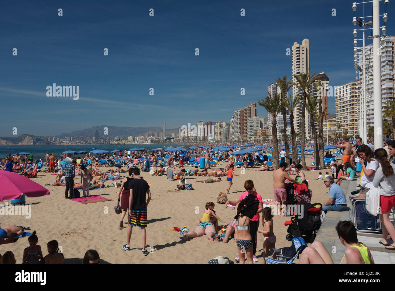 Spain, Benidorm, Levante beach, sunbathers and high-rise buildings in ...