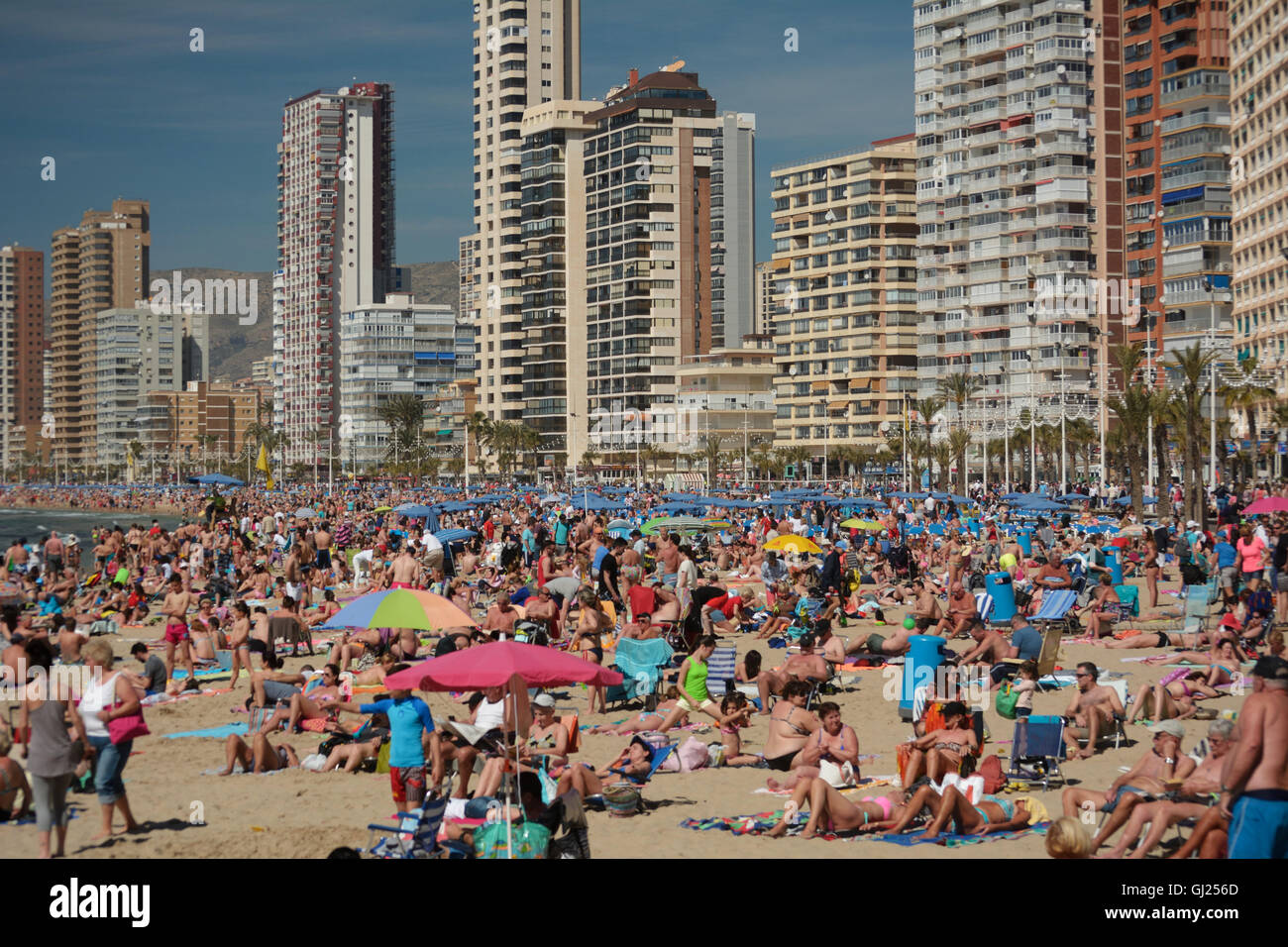 Spain, Benidorm, crowds sunbathing in Levante beach with high-rise buildings in the background ...