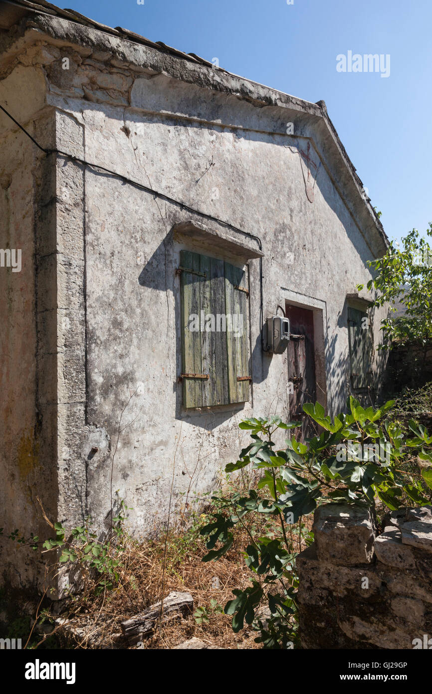 Old palea perithia hi-res stock photography and images - Alamy