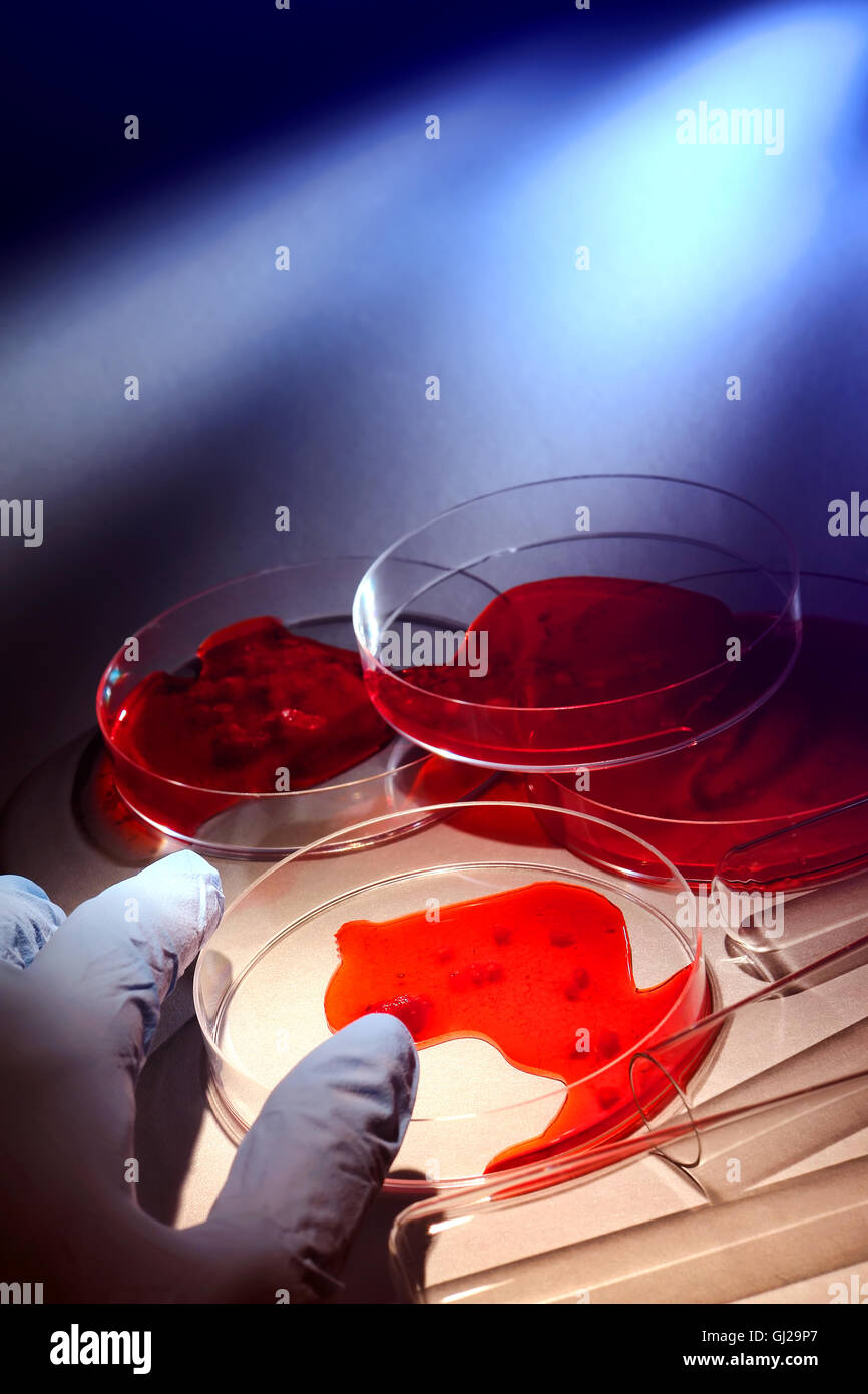 Crime scene analyst hi-res stock photography and images - Alamy