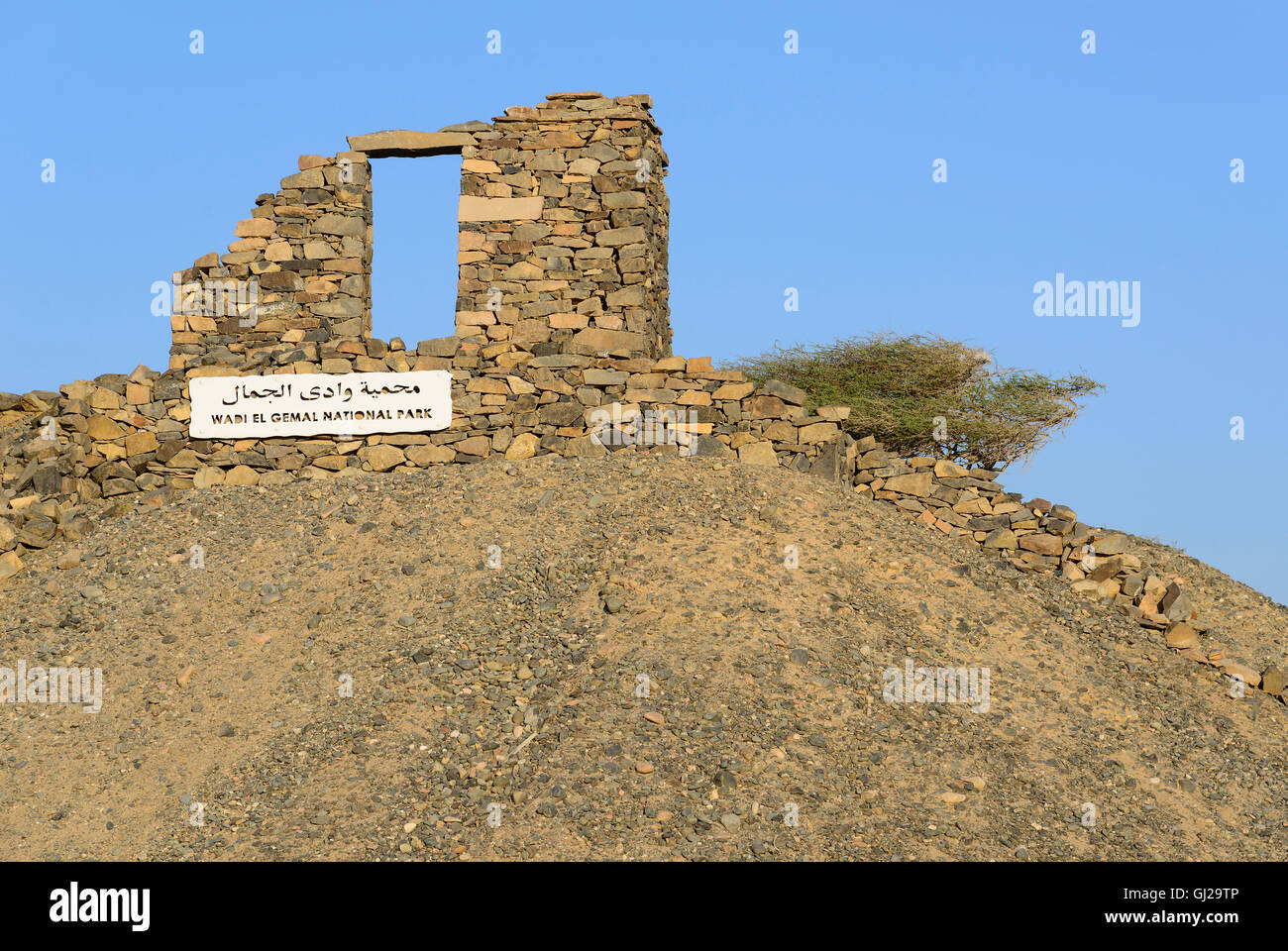 Wadi Gimal High Resolution Stock Photography and Images - Alamy