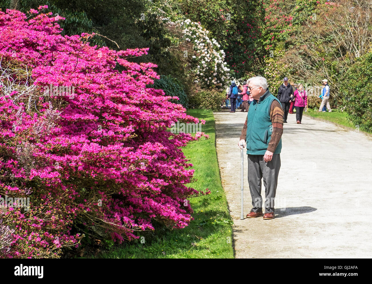 Annual gardens hi-res stock photography and images - Alamy
