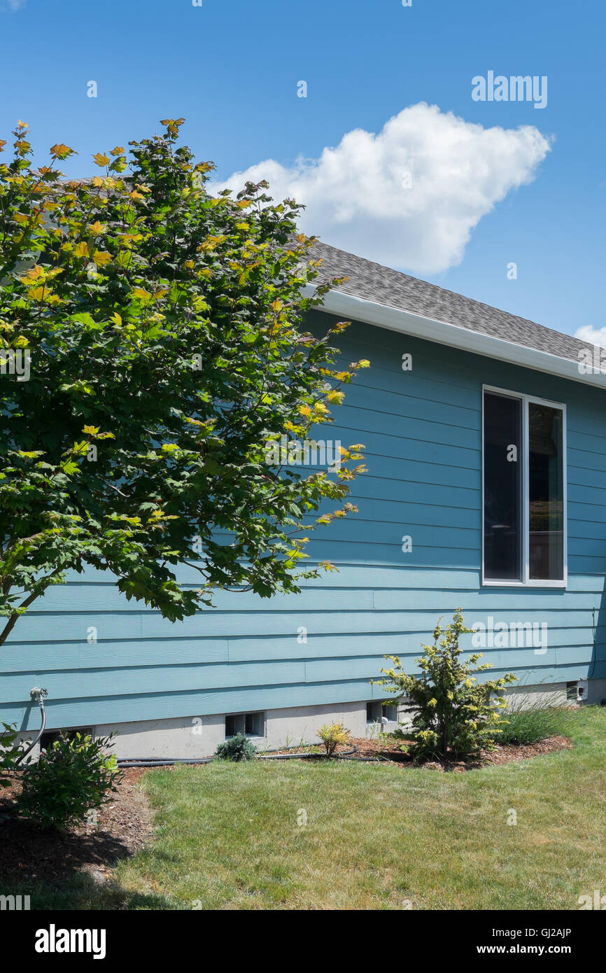 American suburban home painted blue with well kept landscape and a new ...