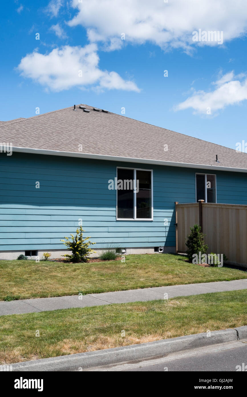 American suburban home painted blue with well kept landscape and a new ...