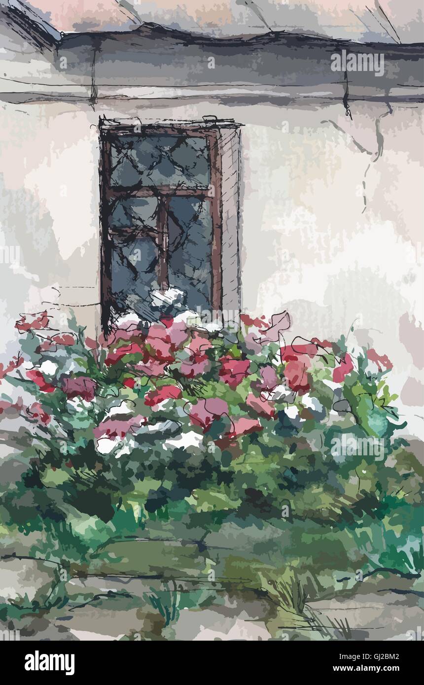Window and flowers, watercolor Stock Vector Image & Art - Alamy