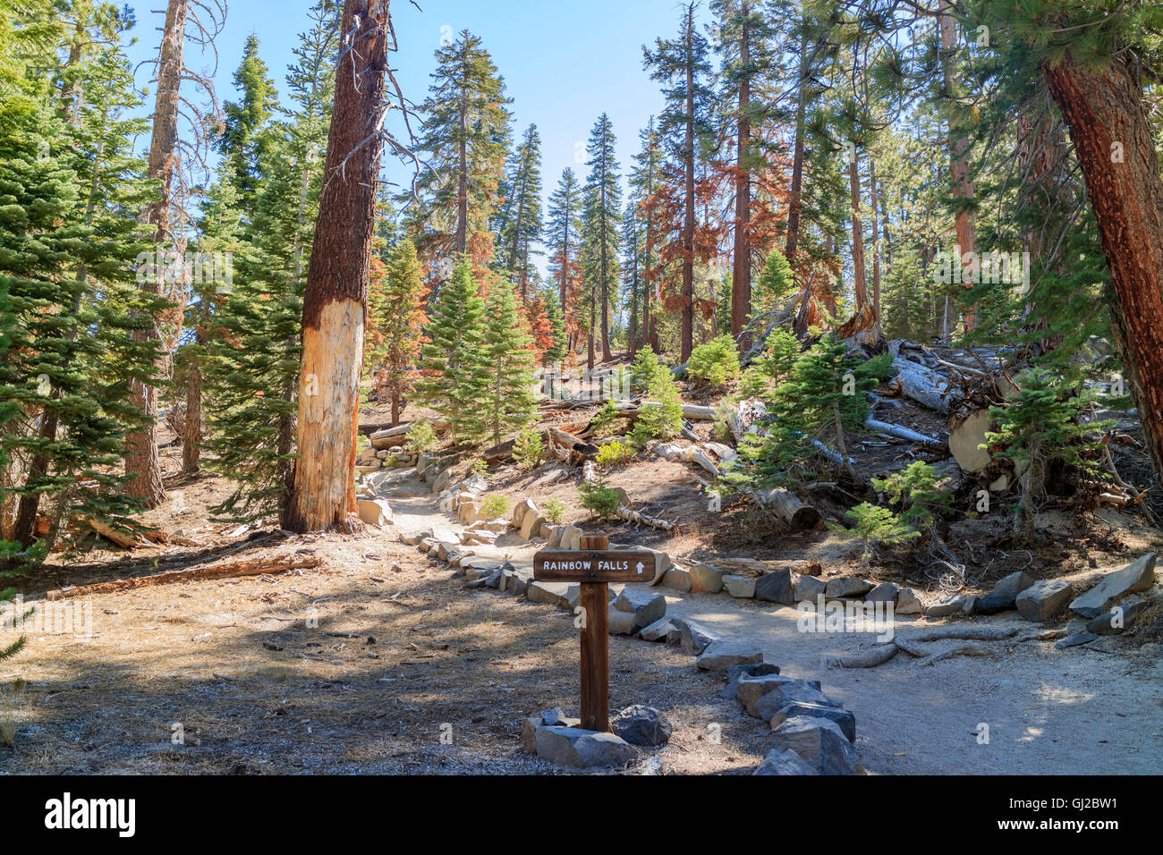 Trail to the Rainbow Fall in Devils Postpile National Monument Stock ...