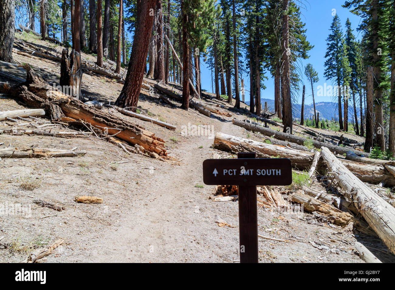 The famous Pacific Crest Trail junction saw at Devils Postpile National ...