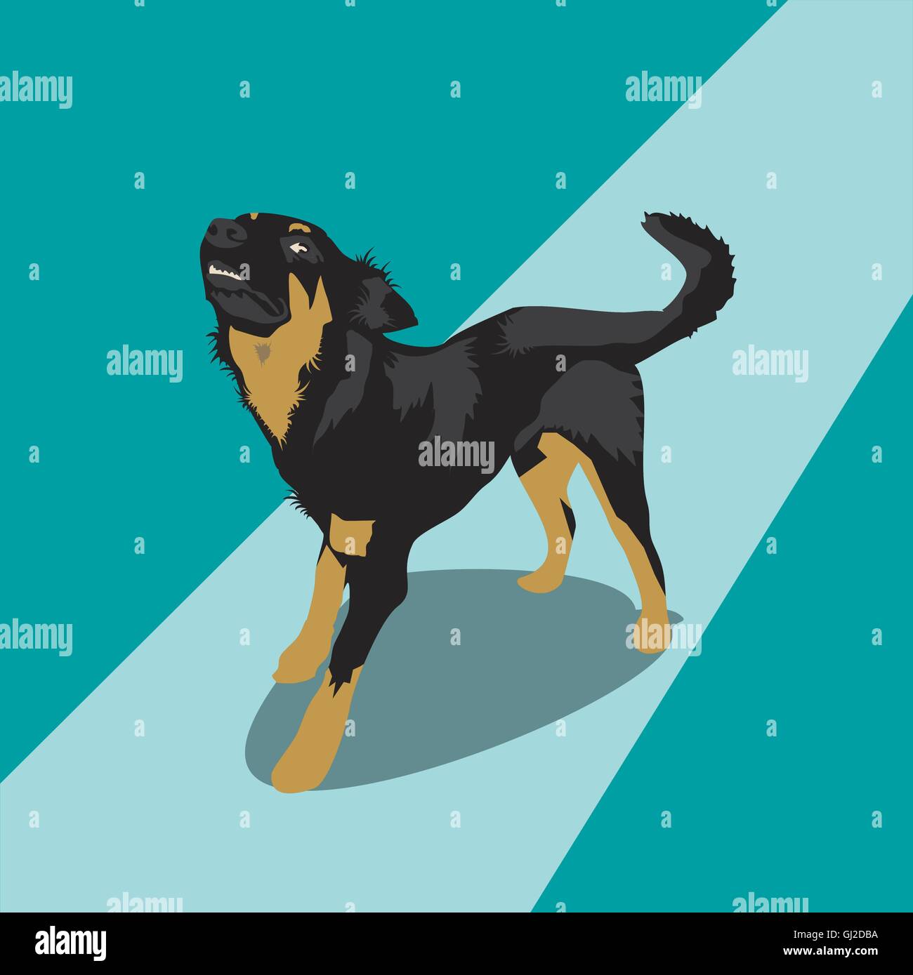 Vicious Black Dog High Resolution Stock Photography and Images - Alamy