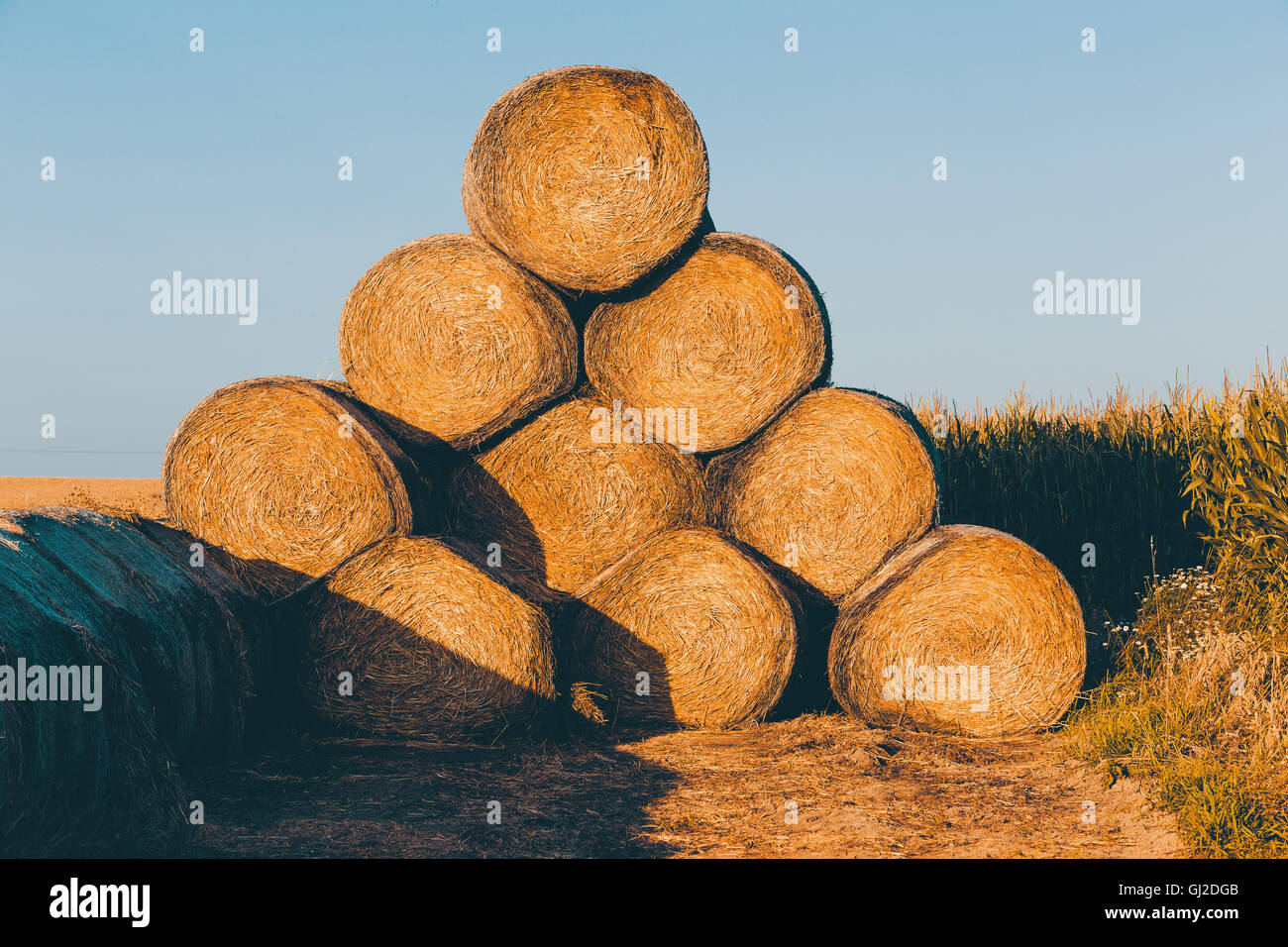 Straw bales stacked on pyramid on farmland in the sunset, retro color ...