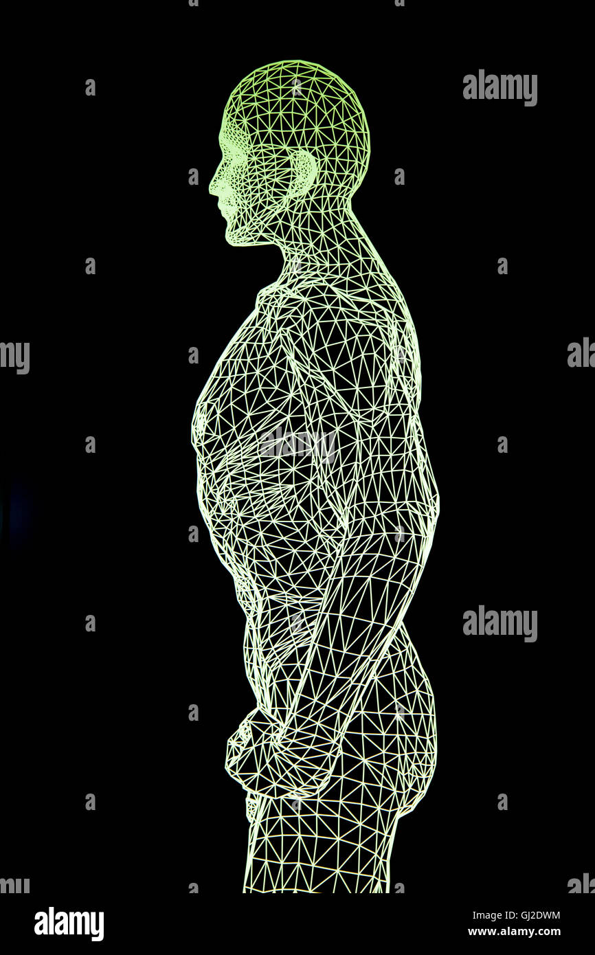 Computer generated image of the human body Stock Photo - Alamy