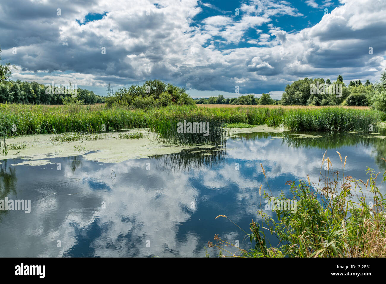 River Stour near Ferndown, Dorset Stock Photo - Alamy