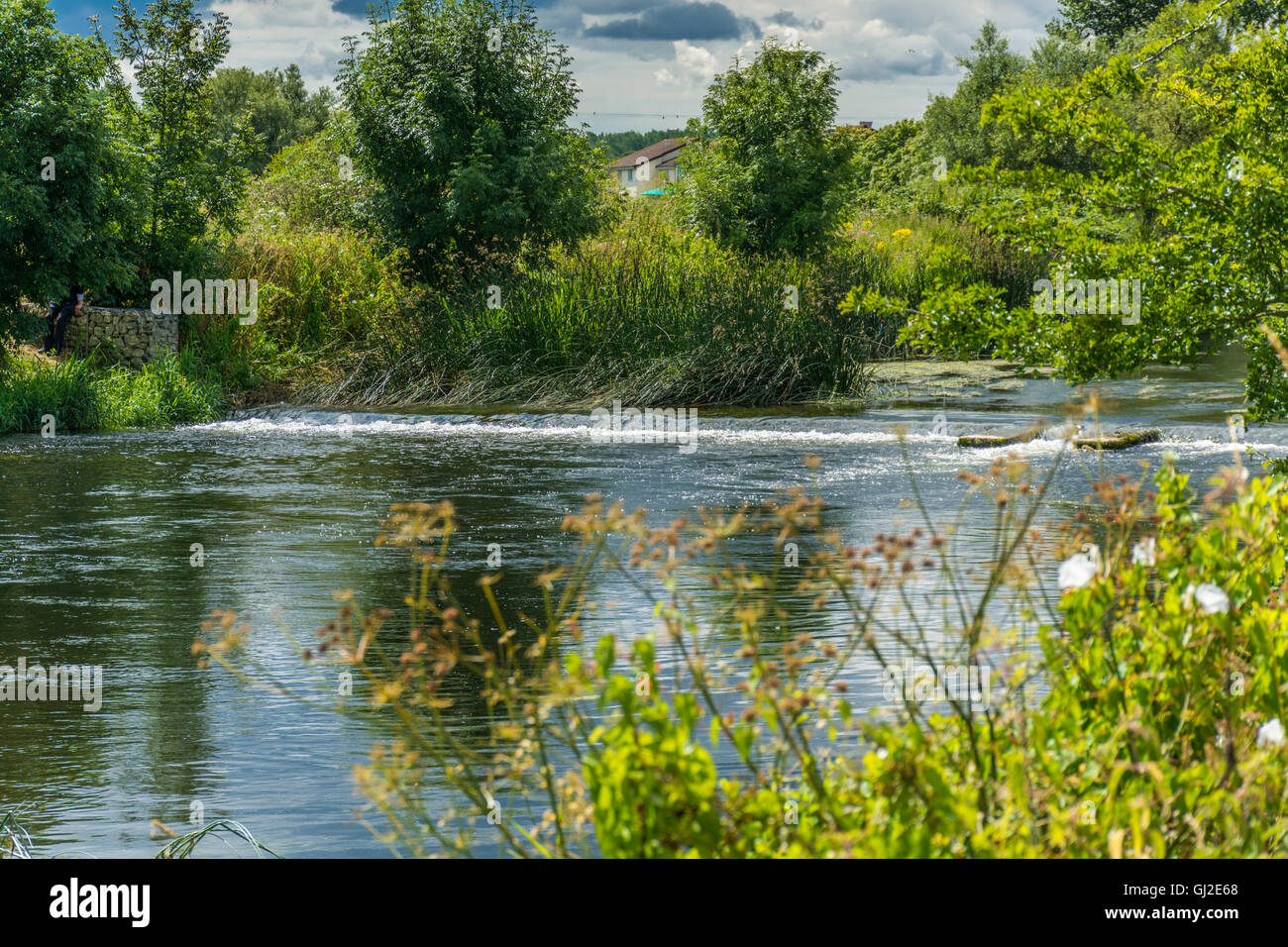 Ferndown hi-res stock photography and images - Alamy
