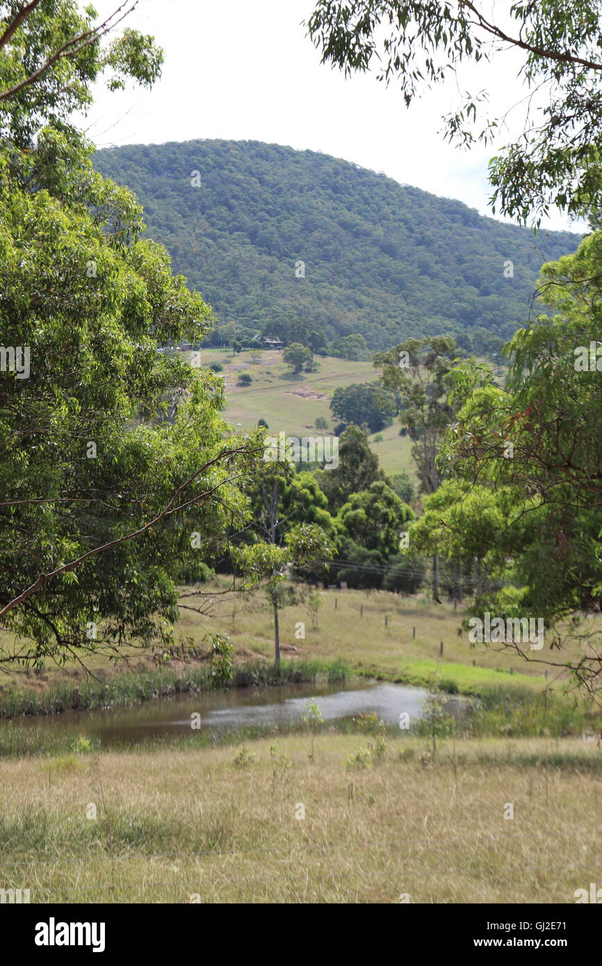 Fields and hills at Briar Ridge Vineyards, Mount View, Australia Stock ...