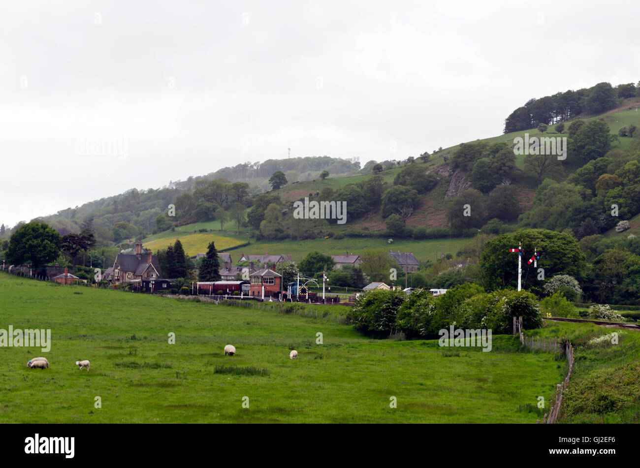 Steam tank locomotive-hauled train approaching Carrog Station on the ...