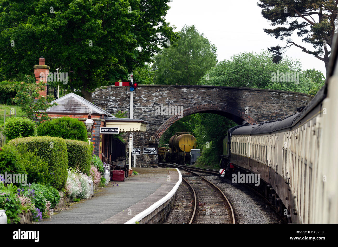 Steam tank locomotive-hauled train at Carrog Station on the Llangollen ...