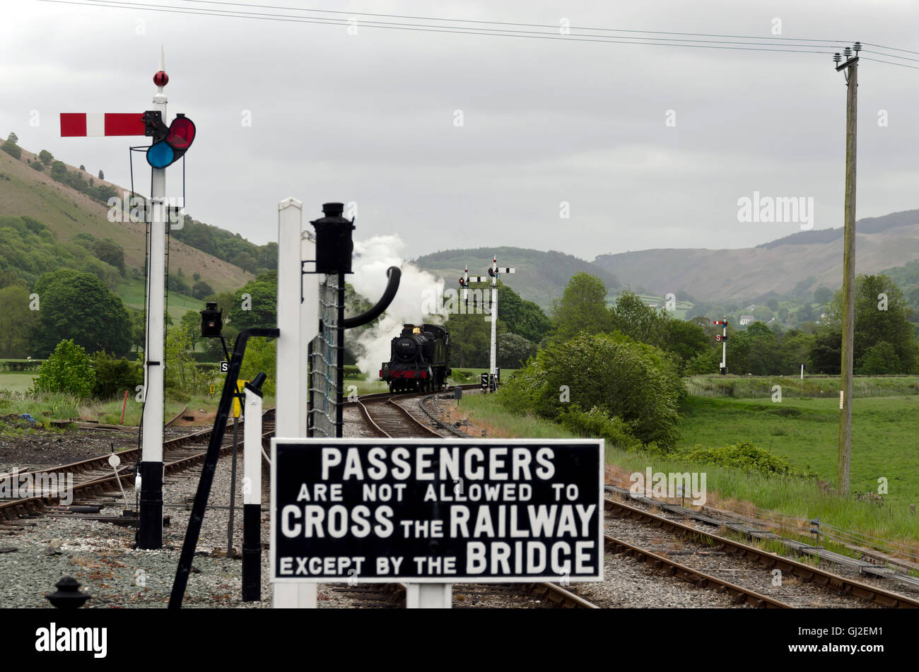 Steam tank locomotive approaching the train carriages at Carrog Station ...