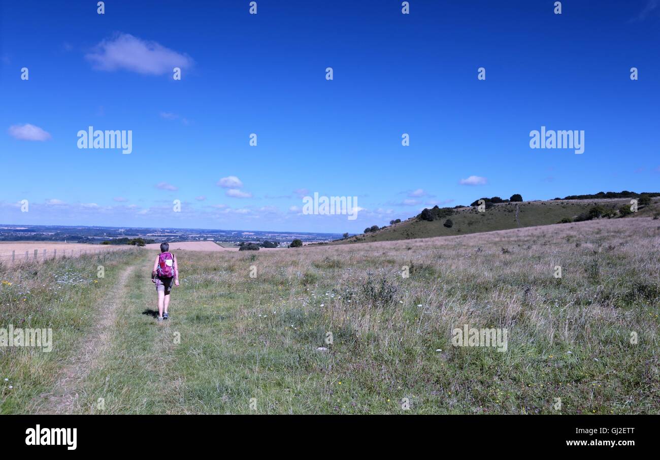 Ridgeway Chilterns High Resolution Stock Photography and Images - Alamy