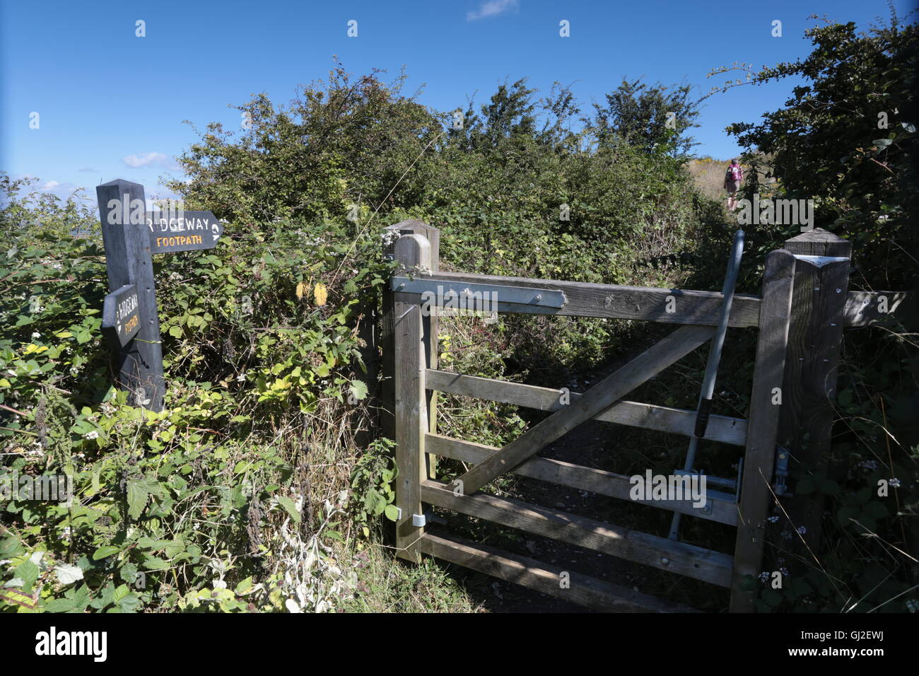 A gate on the Ridgeway path in hertfordshire Stock Photo - Alamy