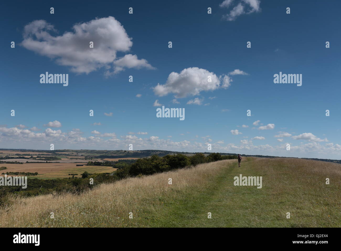Ridgeway path chiltern hills hi-res stock photography and images - Alamy