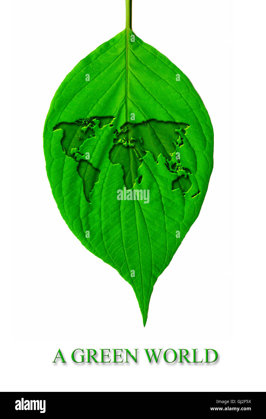 Ecology map hi-res stock photography and images - Alamy