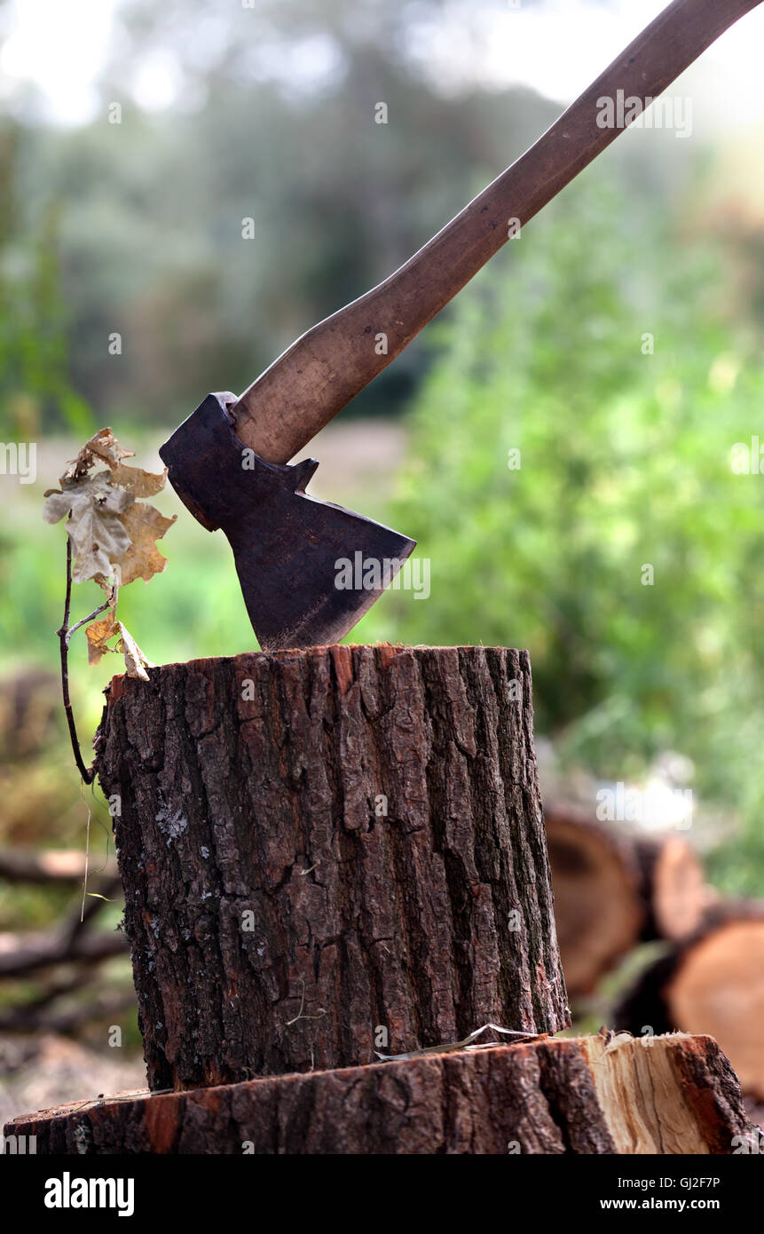 Rusty old axe in forest hi-res stock photography and images - Alamy