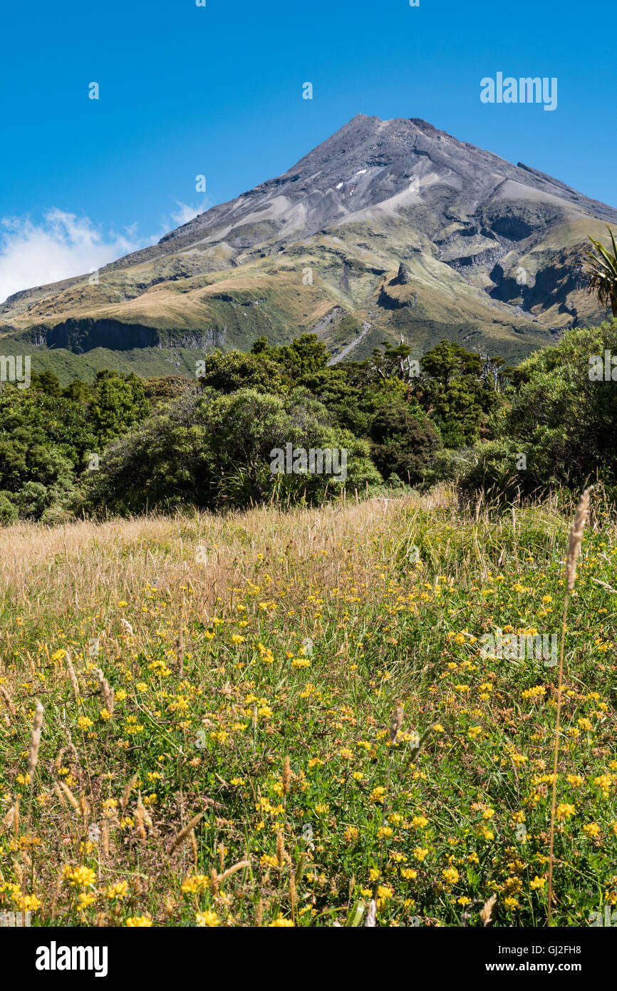 Mount Taranaki in Egmont National Park, Taranaki District North Island ...