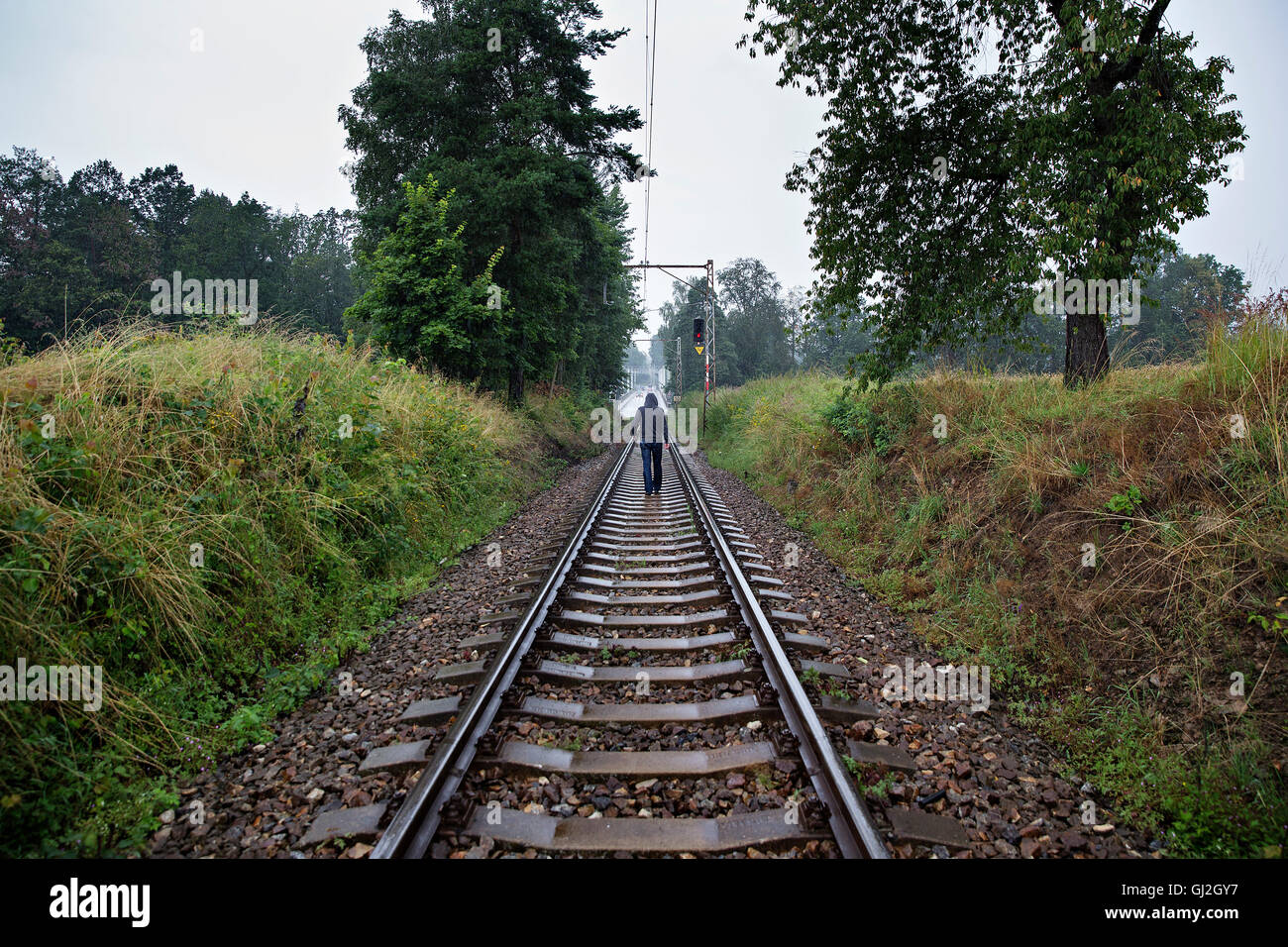 railway, track, rails, sleeper, walker, pedestrian, goer Stock Photo ...