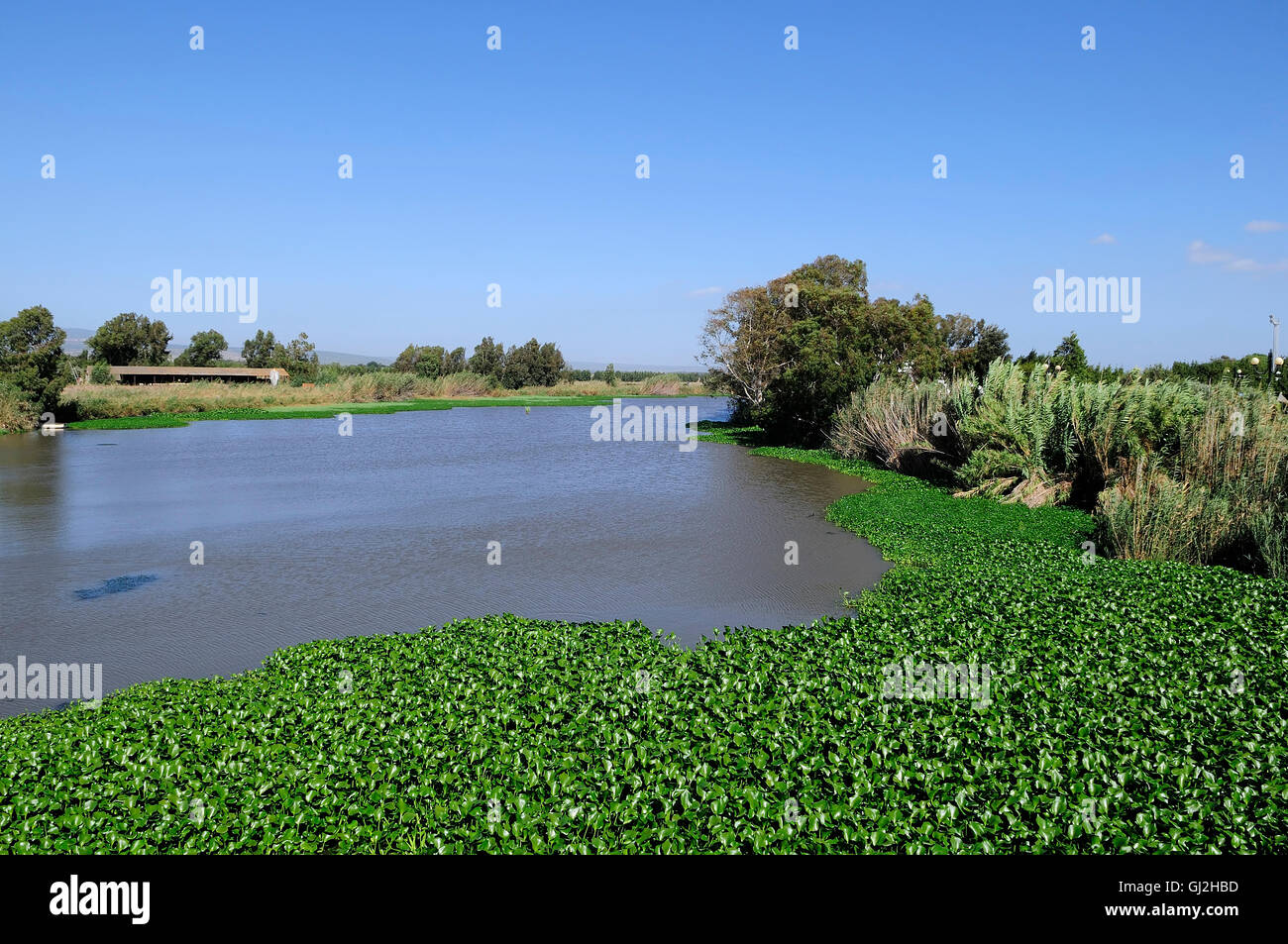 Tirso river hi-res stock photography and images - Alamy