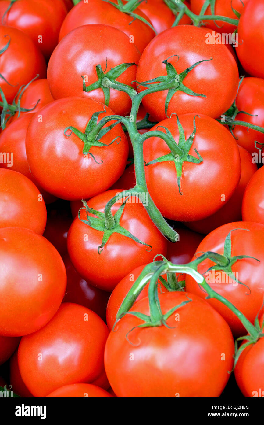 Beautiful red vine tomatoes Stock Photo - Alamy